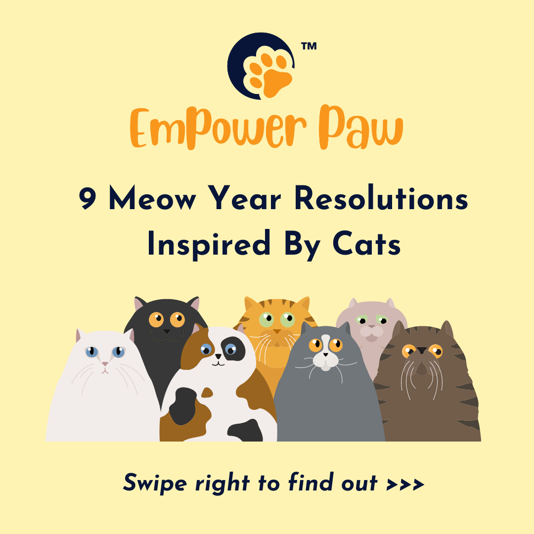 9 Meow Year Resolutions Inspired by Cats – Empower Paw